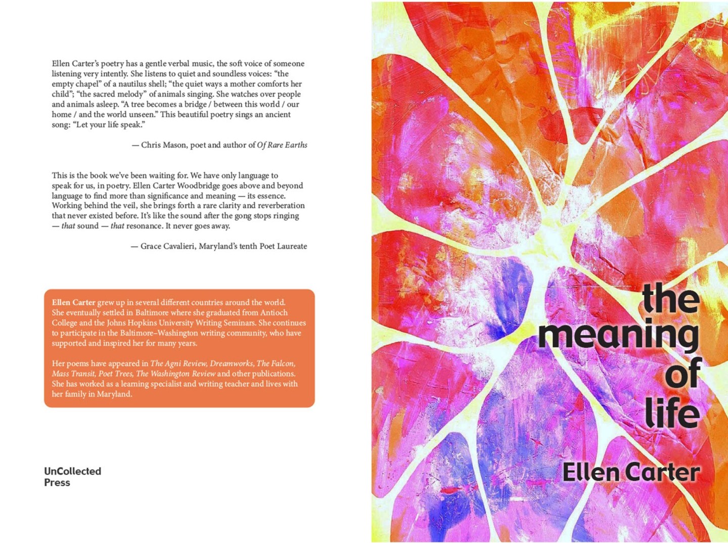 Announcing The Publication of “THE MEANING OF LIFE” poetry by Ellen ...